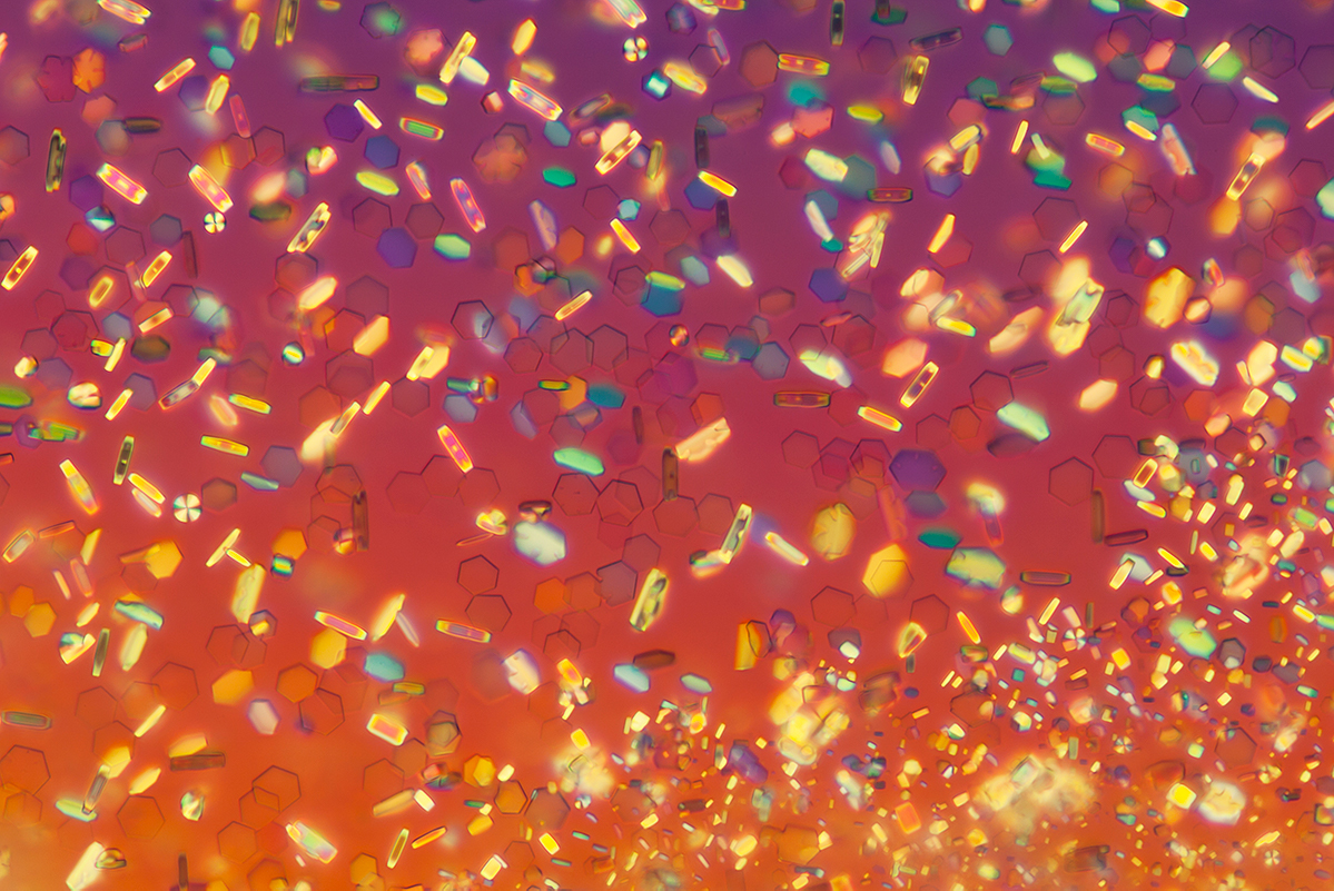 World’s largest autism genome database expands | Autism Speaks