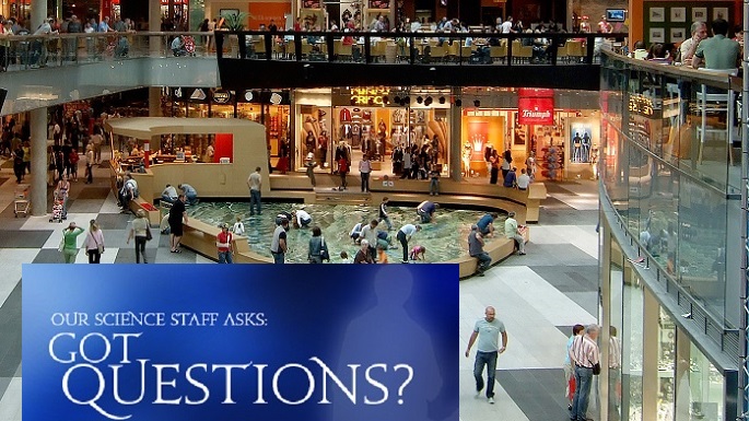 Ten tips to prevent autism-related shopping meltdowns | Autism Speaks